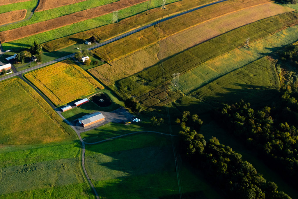 Fort Roberdeau Historic Site - Weed Warriors - Ten Million Trees
