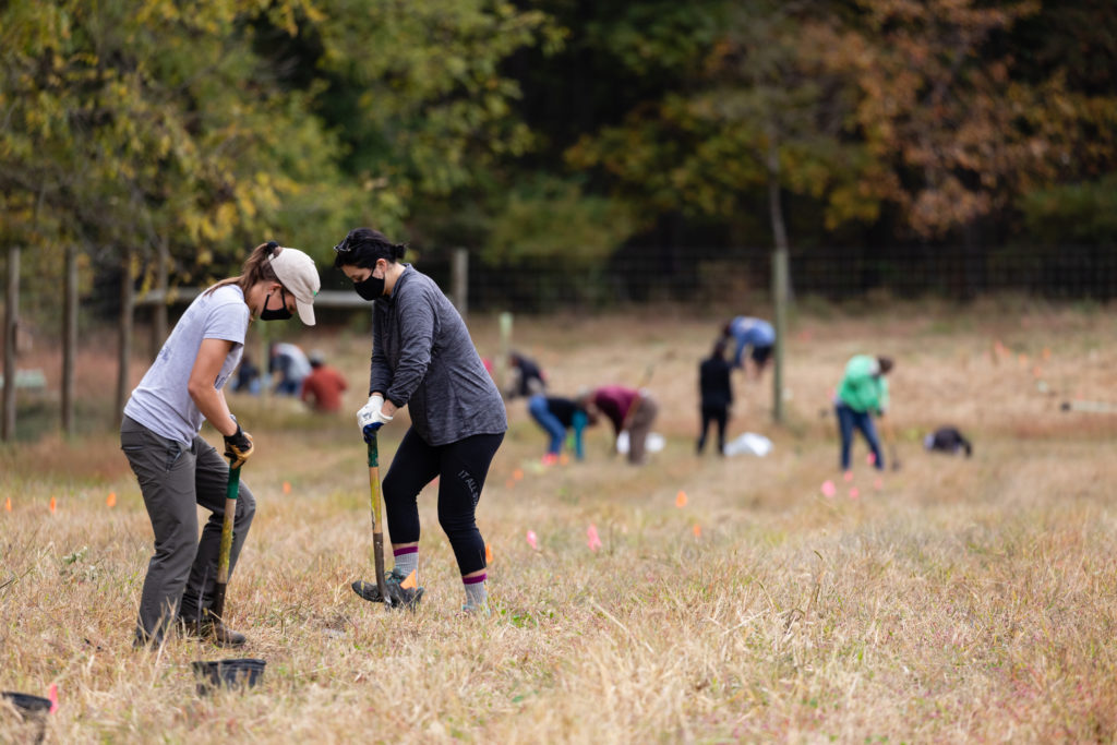 Partners - Ten Million Trees