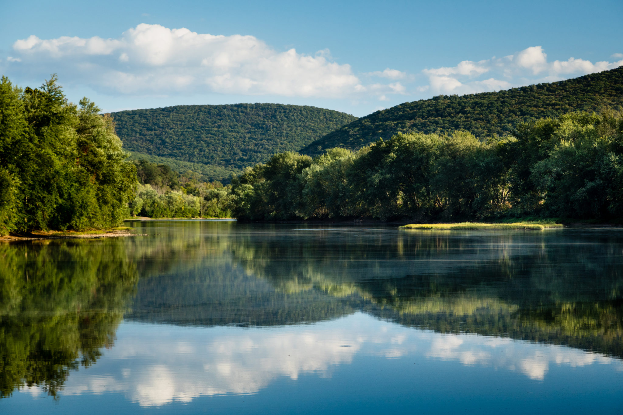 Home Page - Ten Million Trees